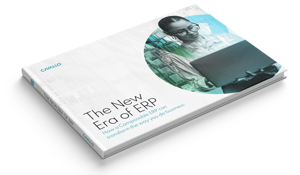 The New Era of ERP eBook